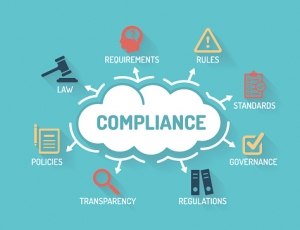 Ten Areas of Non-Compliance | Flexible Benefit Service LLC